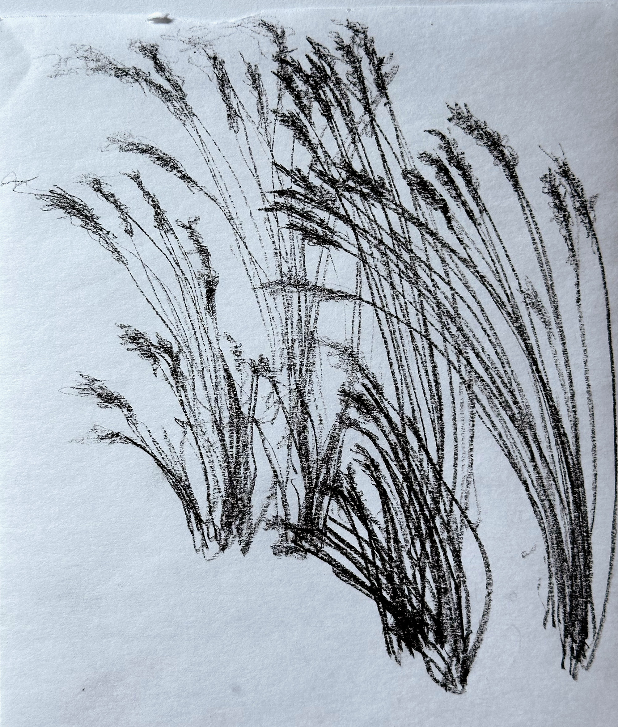 Sketching – A place to post my sketches: drawing with pencil and paper.